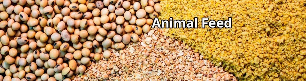 FLAVOURS FOR ANIMAL FEED